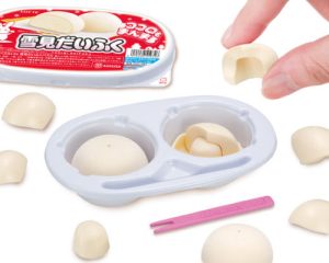 A Sweet Slice of Innovation: The 3D Yukimi Daifuku Dissection Puzzle ...